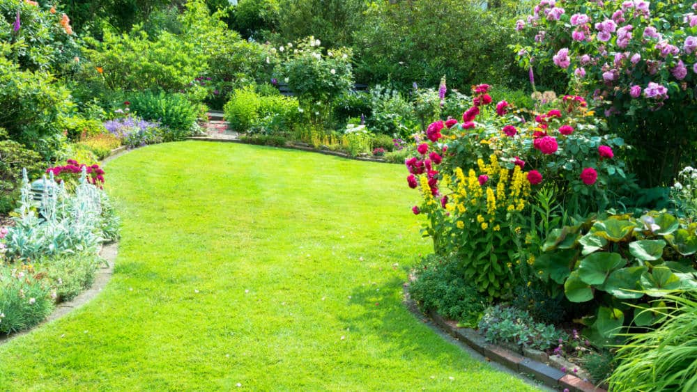 Une touche verte au quotidien avec des gestes écoresponsables - Velaine ...